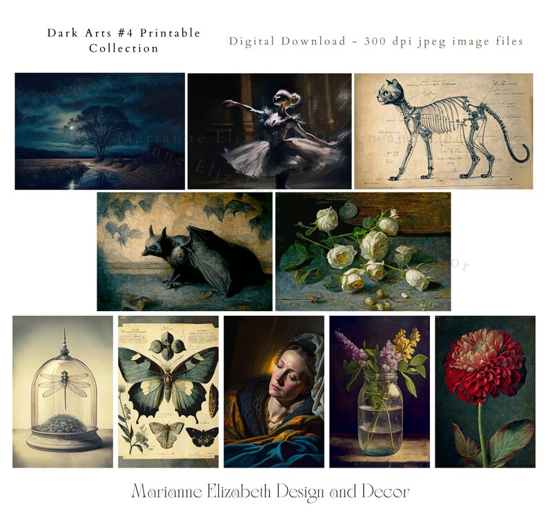 Dark Academia Vol. 4 10-image Printable Art Collection: - Etsy