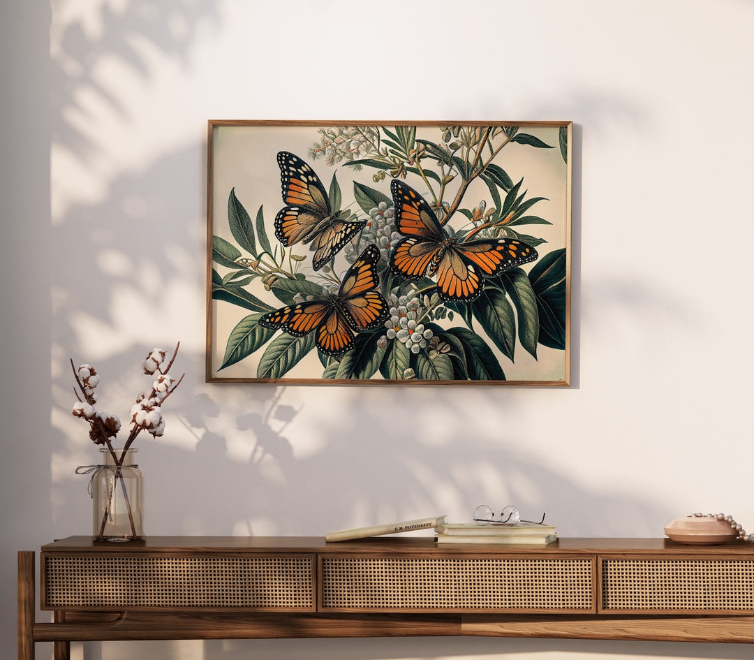 Vintage Monarch Butterfly Illustration Antique Botanicals - Cozy ...
