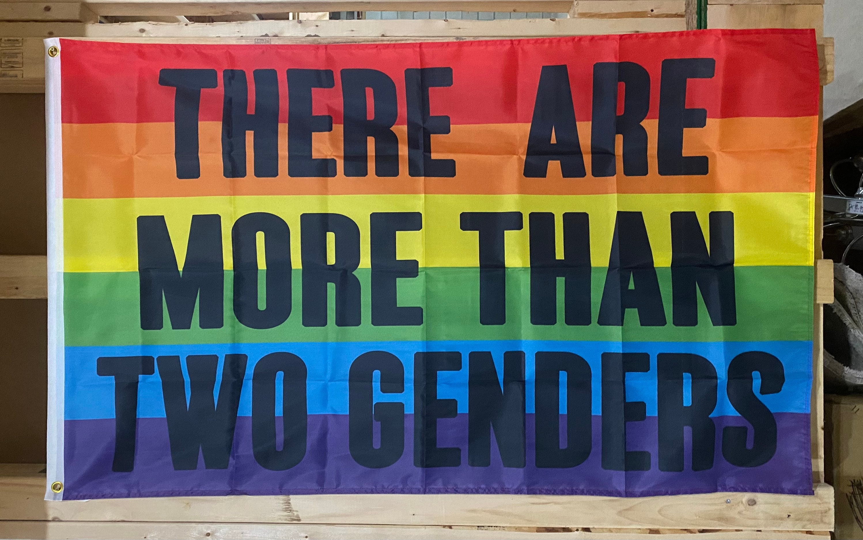 Transgender Pride Flag FREE SHIP LGBTQ+ More Than Two Genders Trans ...