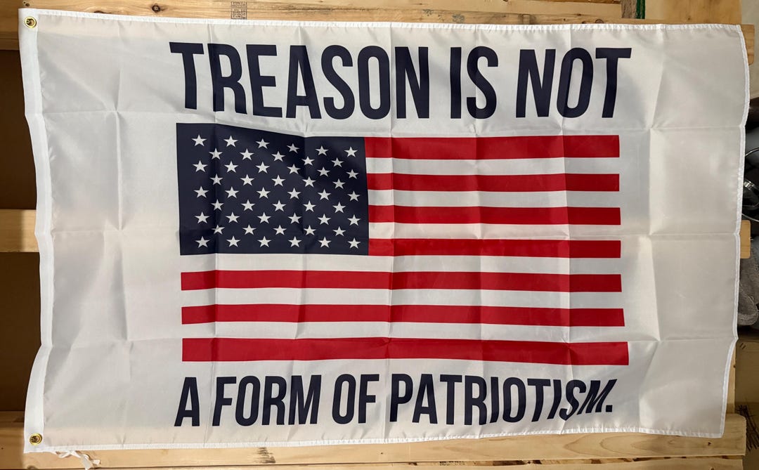 Treason is Not A Form of Patriotism Flag FREE USA SHIP Political ...