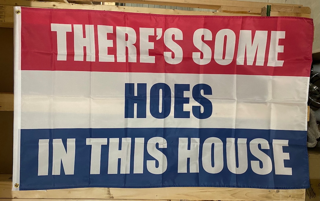There’s Some Hoes in This House Flag FREE USA SHIP Cardi B Milf Girls ...