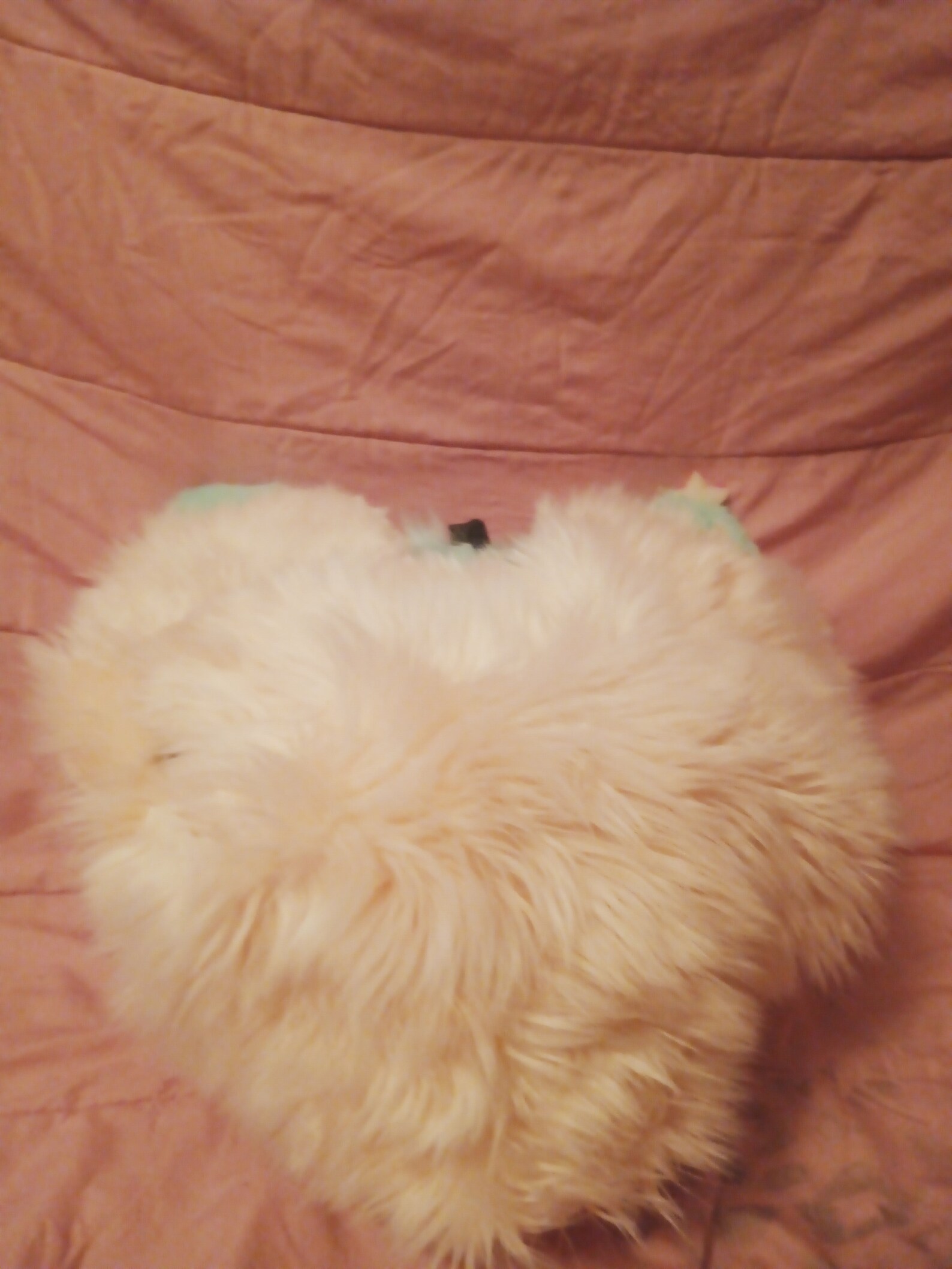 Three Eyed Alien Dog Fursuit - Etsy