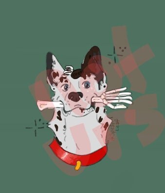Oreo Dog Adopt - Etsy