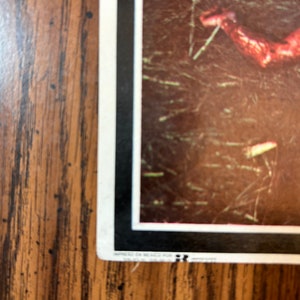 Vintage Mexican Horror Film Poster Cemetery of Terror - Etsy