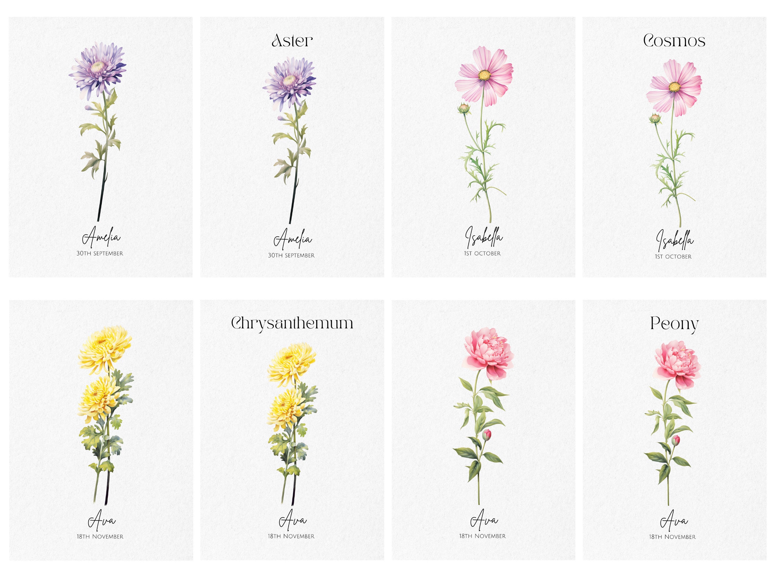 Personal Birth Flower, July Flower Birth Month Gift, Individual Birth ...