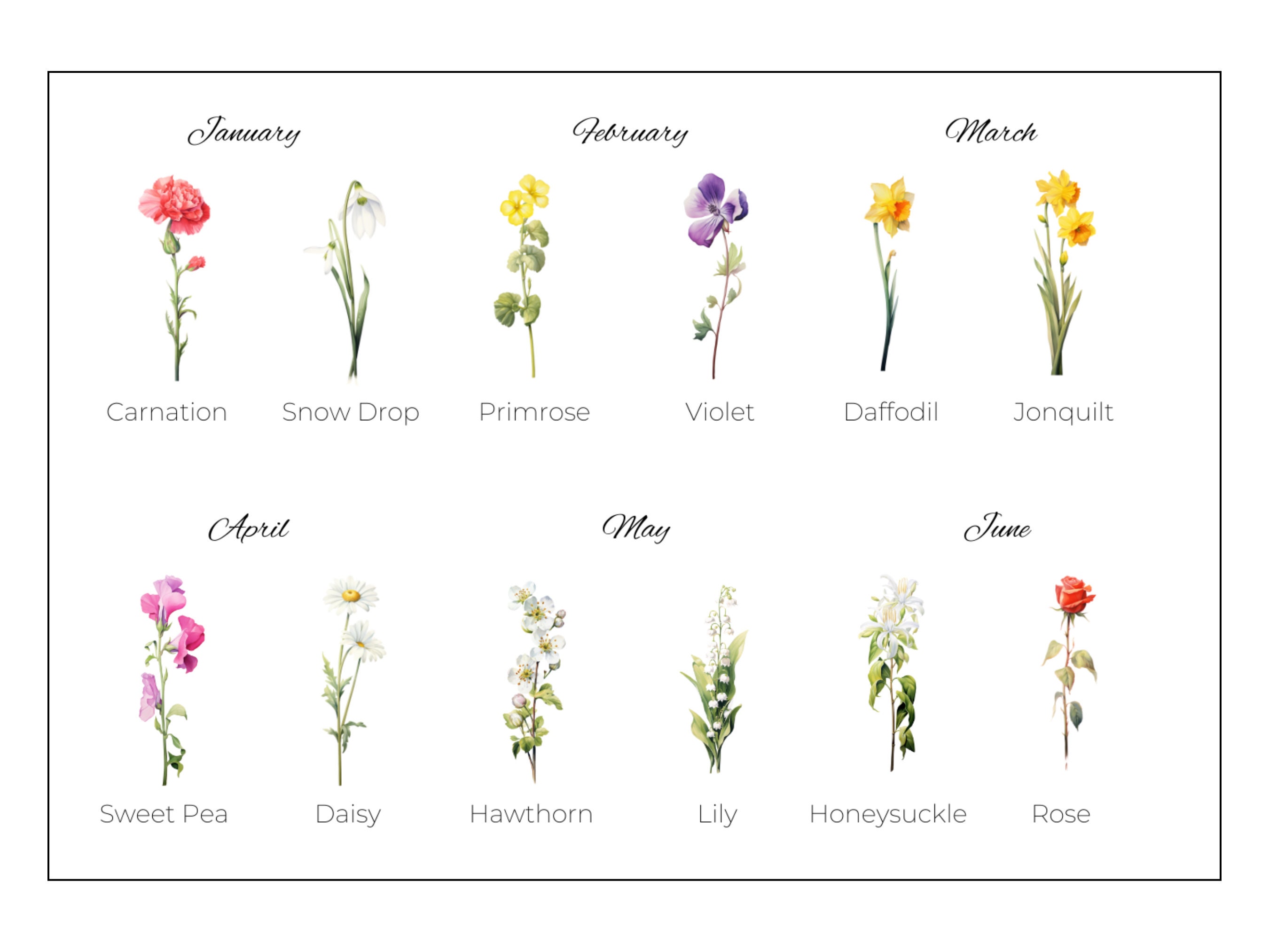 Birth Month Flower, Personal Birth Flower, Birthflower Gift for Mom ...
