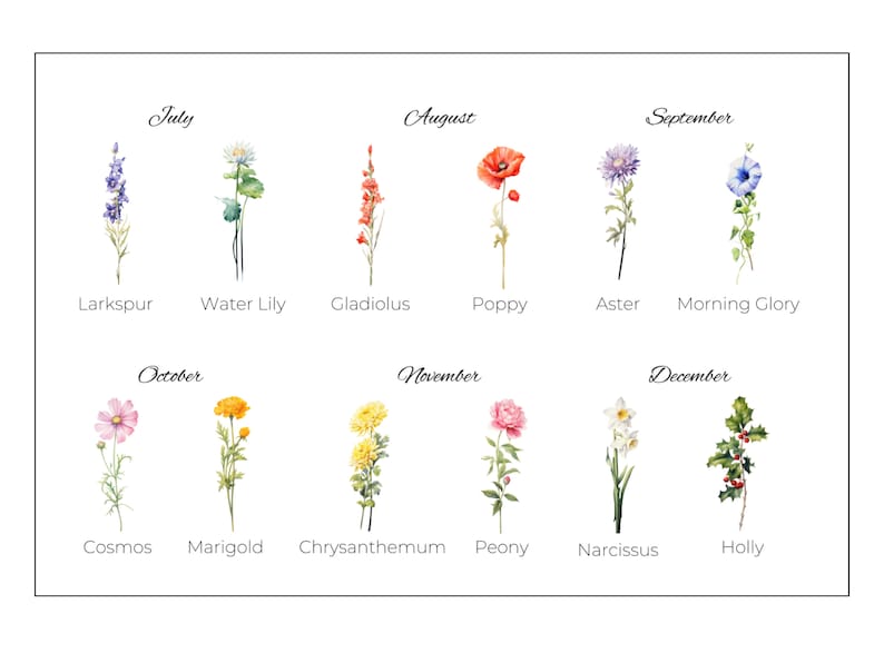 Birth Month Flower, Personal Birth Flower, Birthflower Gift for Mom ...