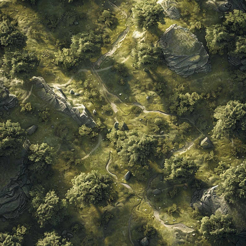 Battlemap Series: RPG Assorted Wilderness Maps Dnd Pathfinder or Any ...