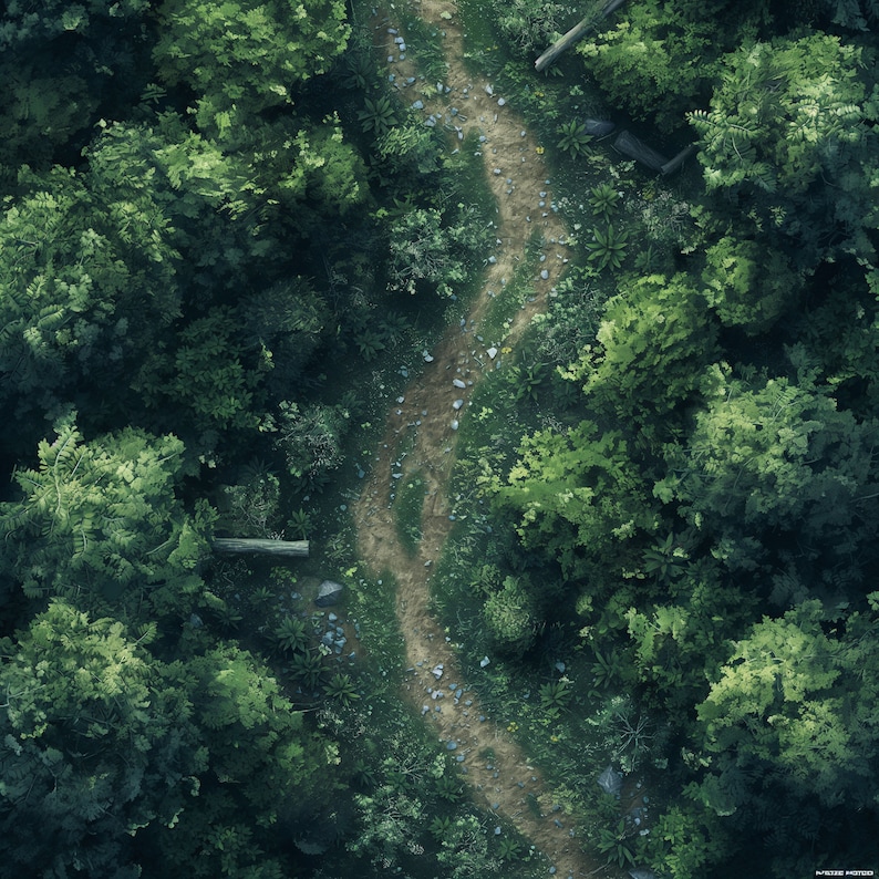 Battlemap Series: RPG Assorted Forest Maps Dnd Pathfinder or Any TTRPG ...