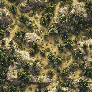 Battlemap Series: RPG Assorted Wilderness Maps Dnd Pathfinder or Any ...