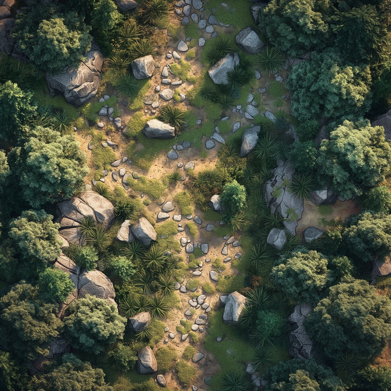 Battlemap Series: RPG Assorted Forest Maps Dnd Pathfinder or Any TTRPG ...