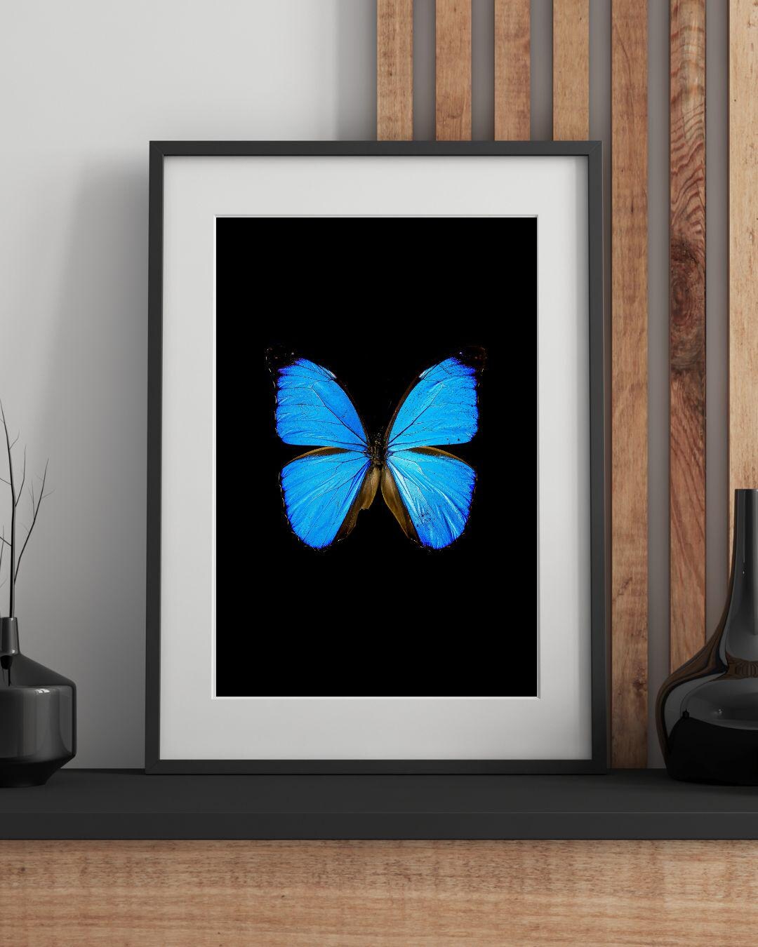 Blue Morpho Metallic Photography Prints - Etsy