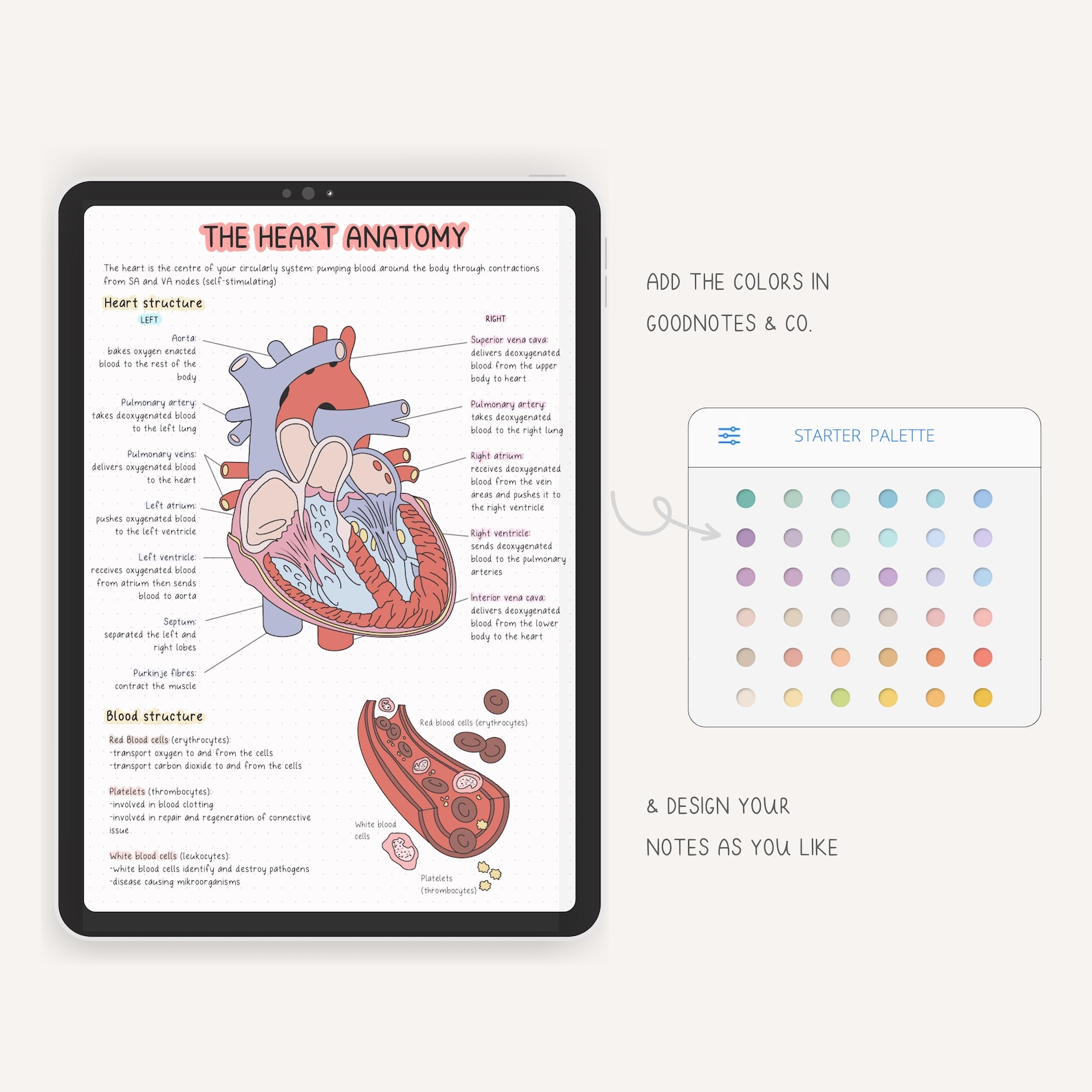 Starter Palette, Digital Planner Color Swatches, Design Ideas Color ...
