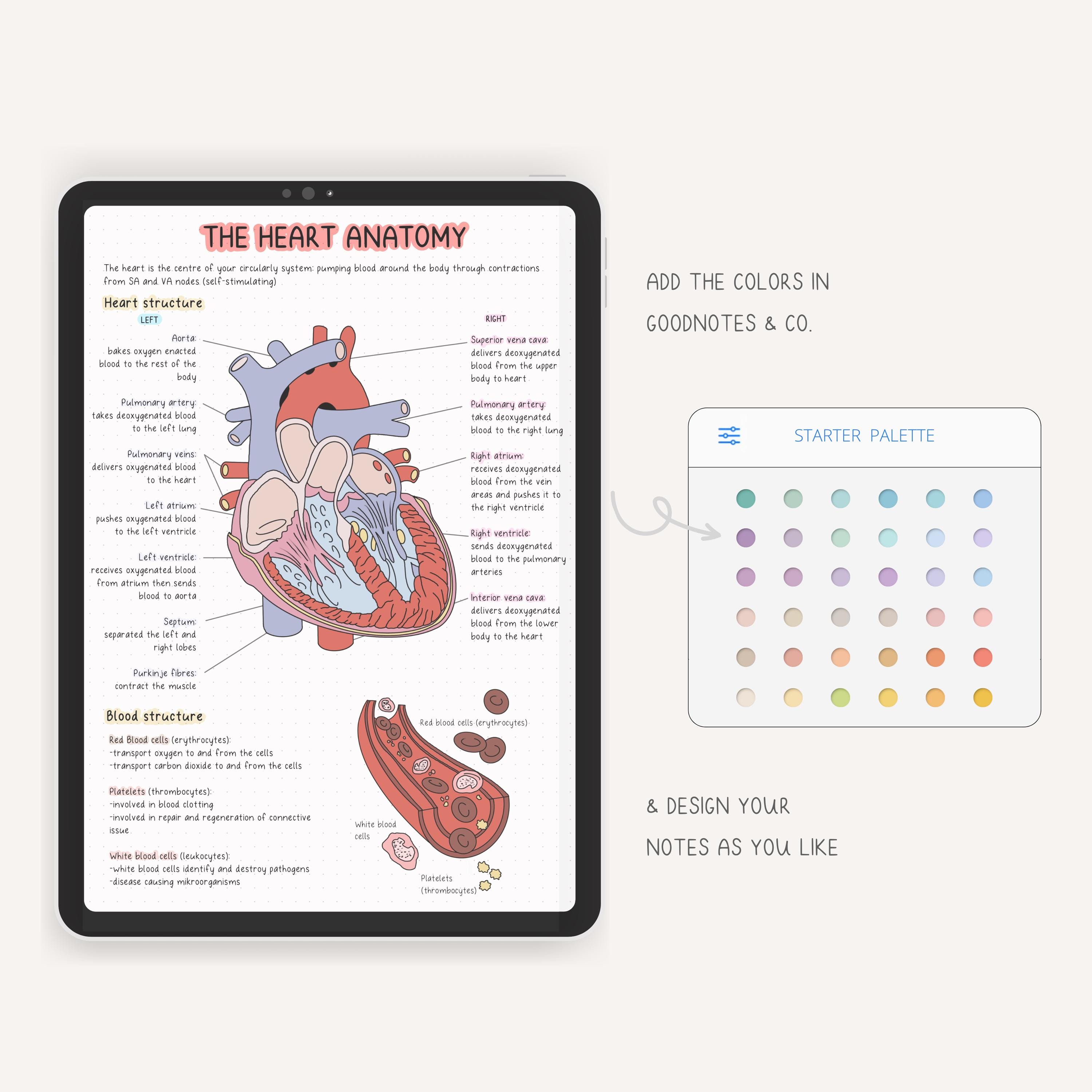 Starter Palette, Digital Planner Color Swatches, Design Ideas Color ...
