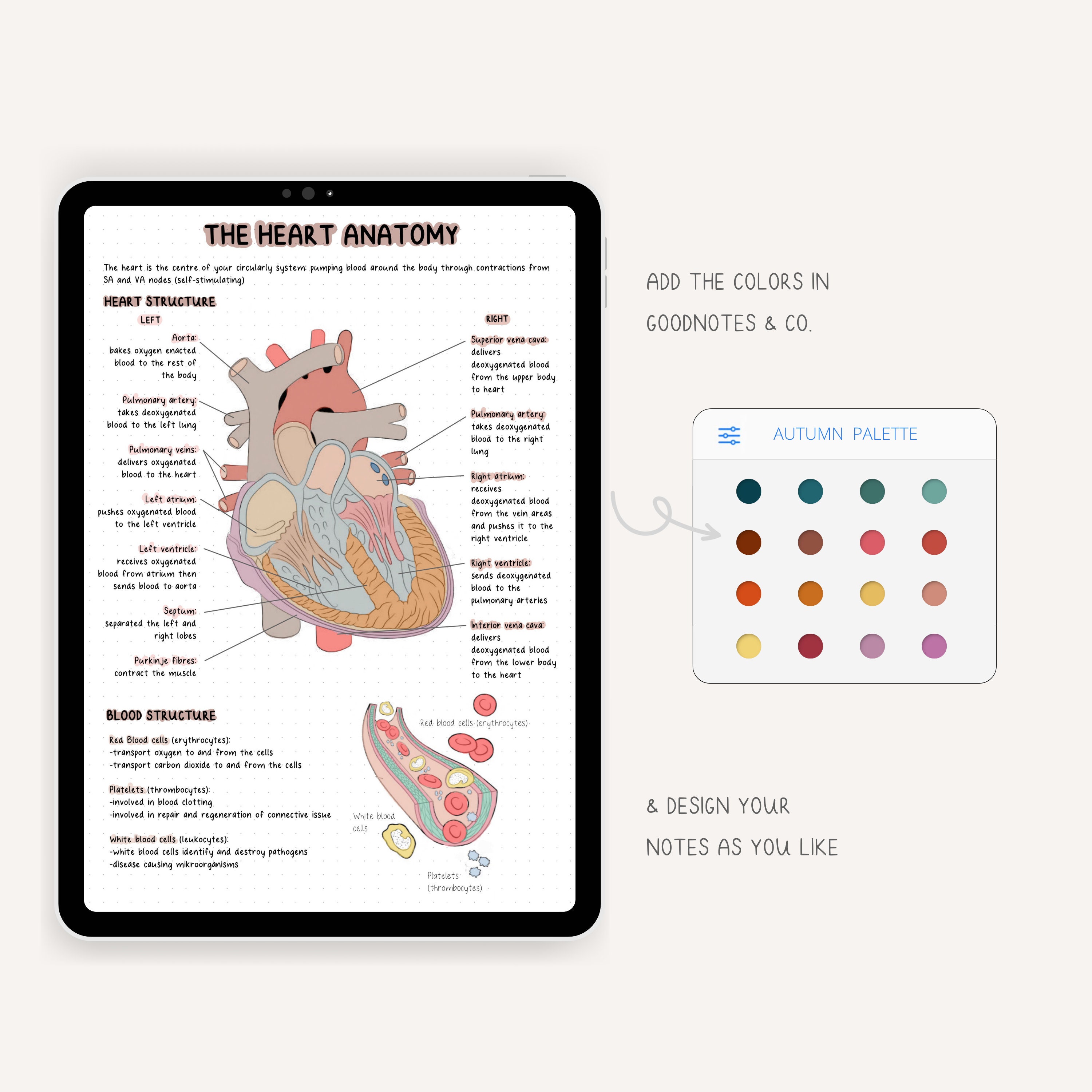 Autumn Palette, Digital Planner Color Swatches, Design Ideas Color ...