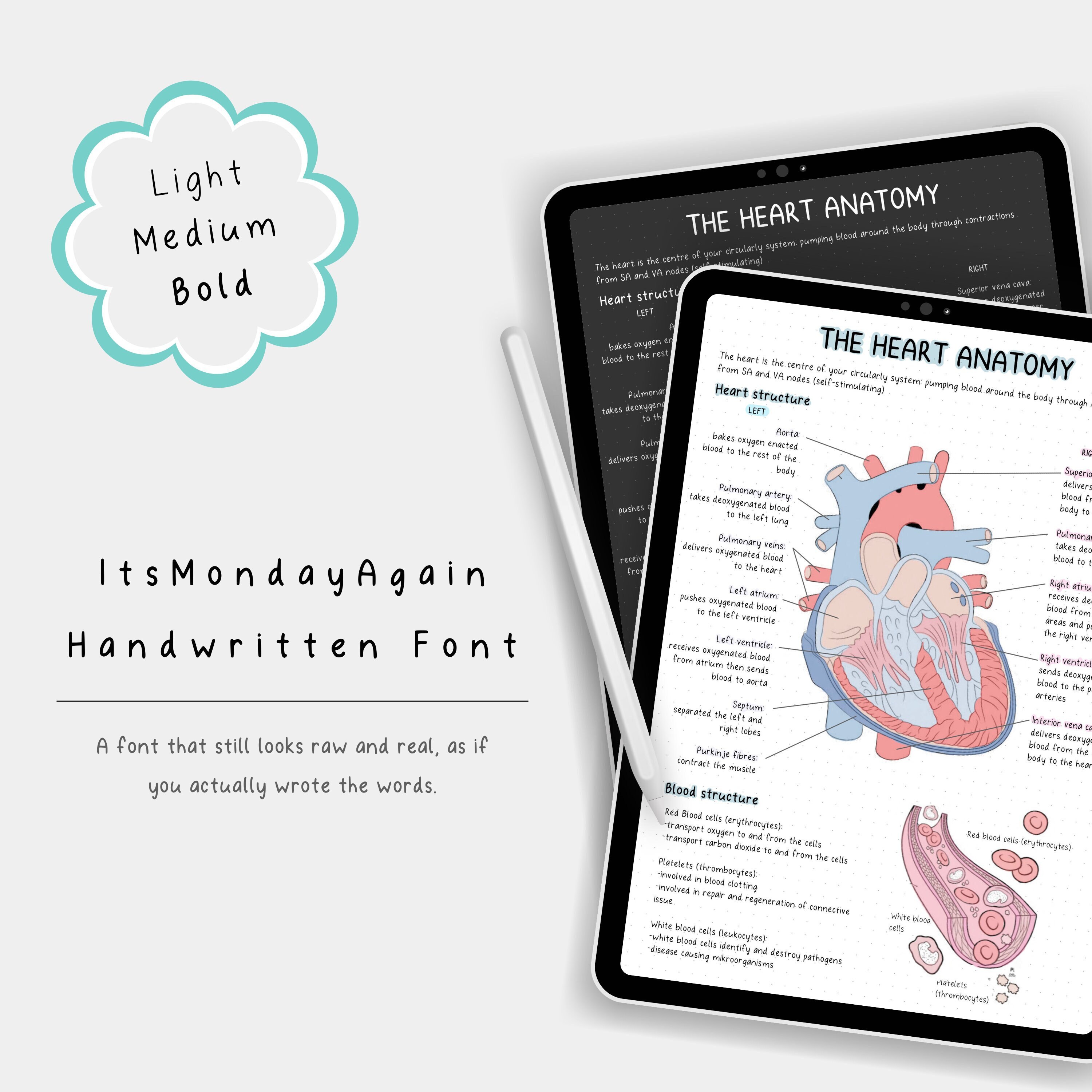 Handwritten Font Set for Digital Planner and Student Note Taking ...