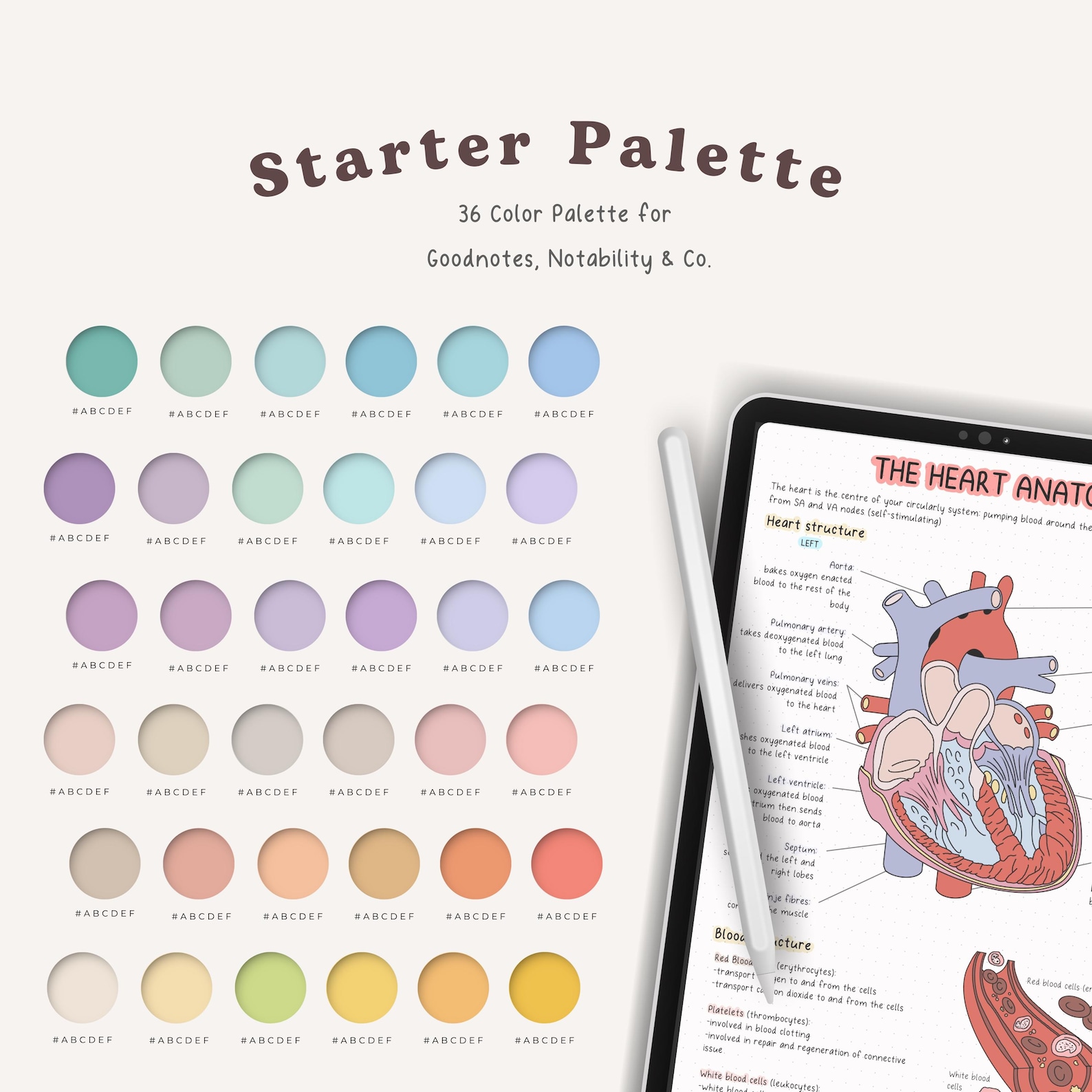 Starter Palette, Digital Planner Color Swatches, Design Ideas Color ...