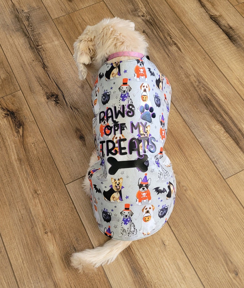 Halloween Costume Dog Coat, Unique, Fun Designs With Easy On, Easy Off ...