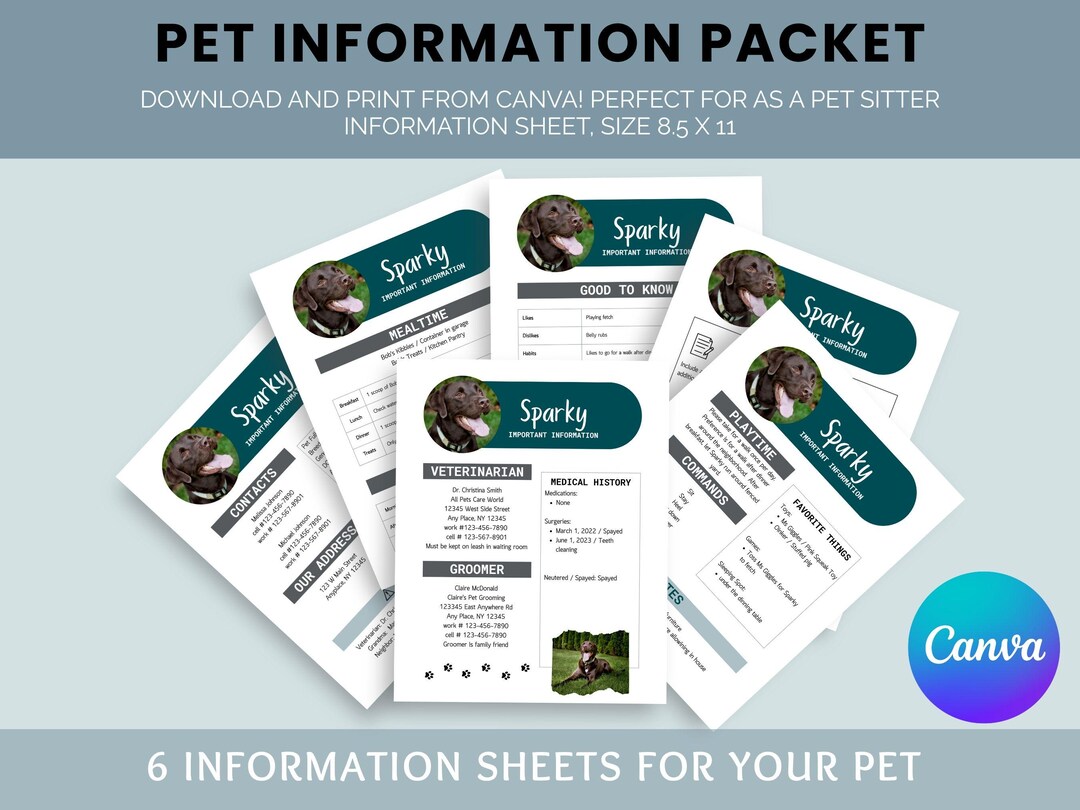 Editable Pet Sitter Instructions Sheet: Printable Pet Information ...