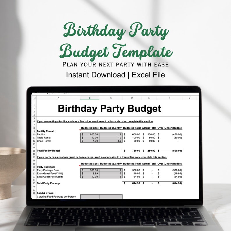 Birthday Party Budget Template: Excel Spreadsheet (digital Download) - Etsy