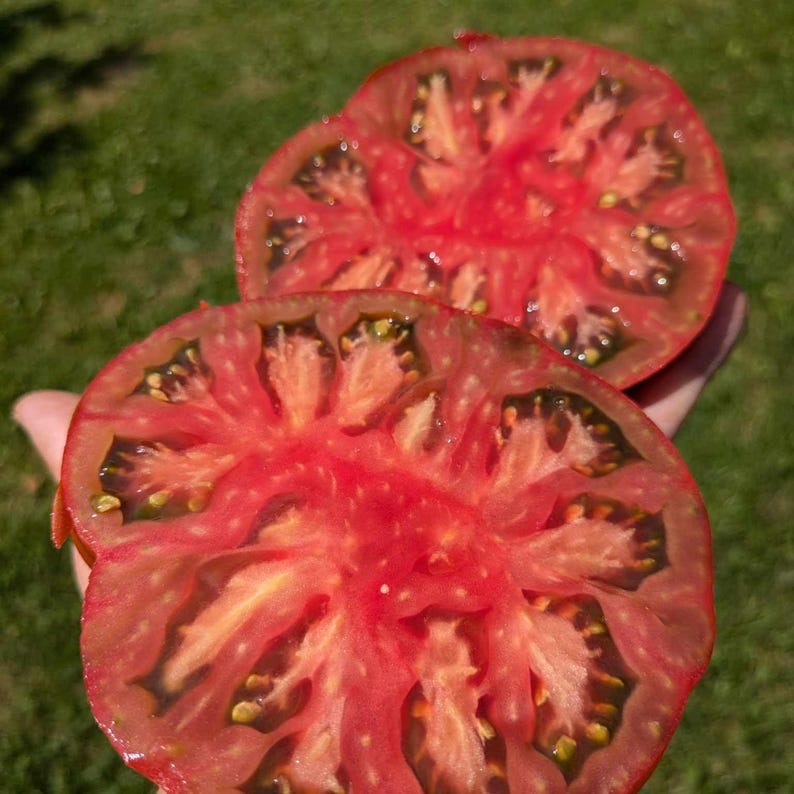 Moya Noire Tomato Seeds - Etsy
