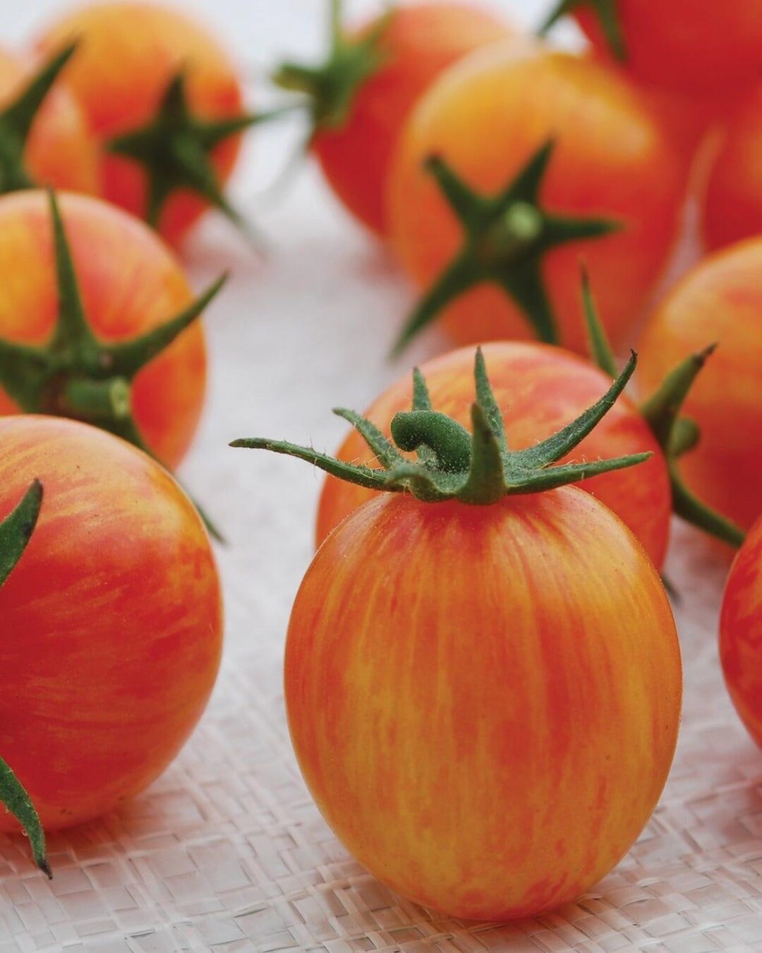 Sunrise Bumblebee Tomato Seeds Florida Heat Friendly - Etsy