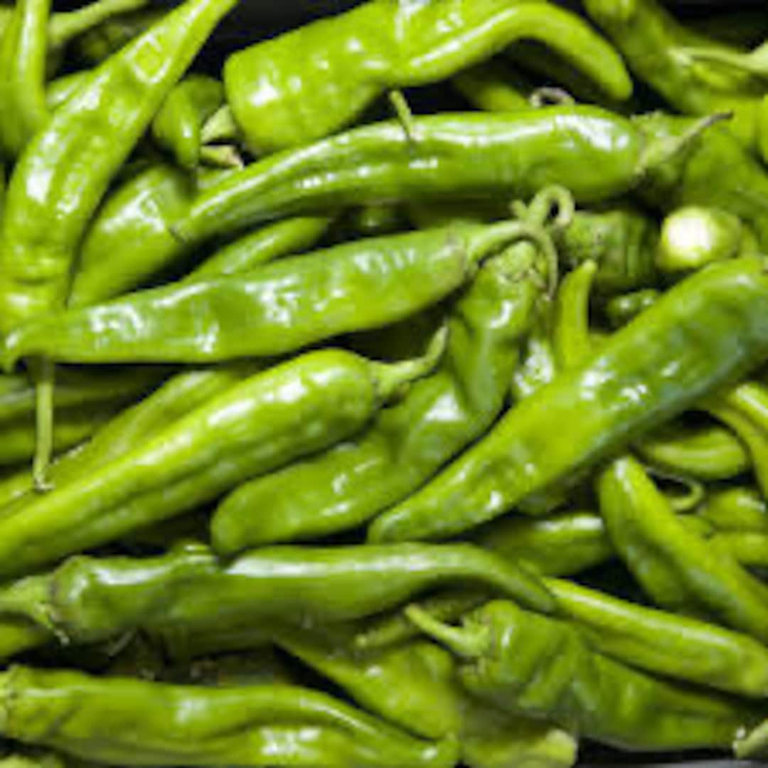 Hatch NM-64 Green Mild Chile Pepper Seeds 10 - Etsy