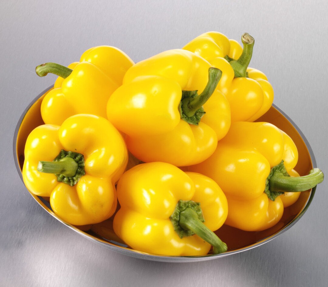Sunbright Sweet Bell Pepper Seeds 10+ - Etsy