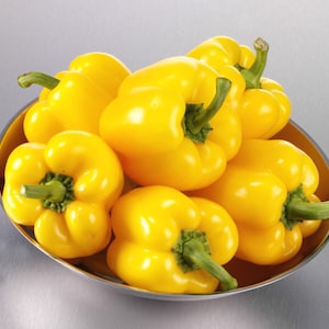 Sunbright Sweet Bell Pepper Seeds 10+ - Etsy