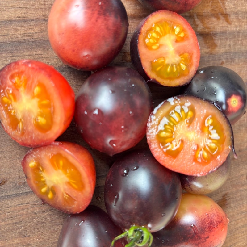 Bill Yoder Tomato Seeds - Etsy