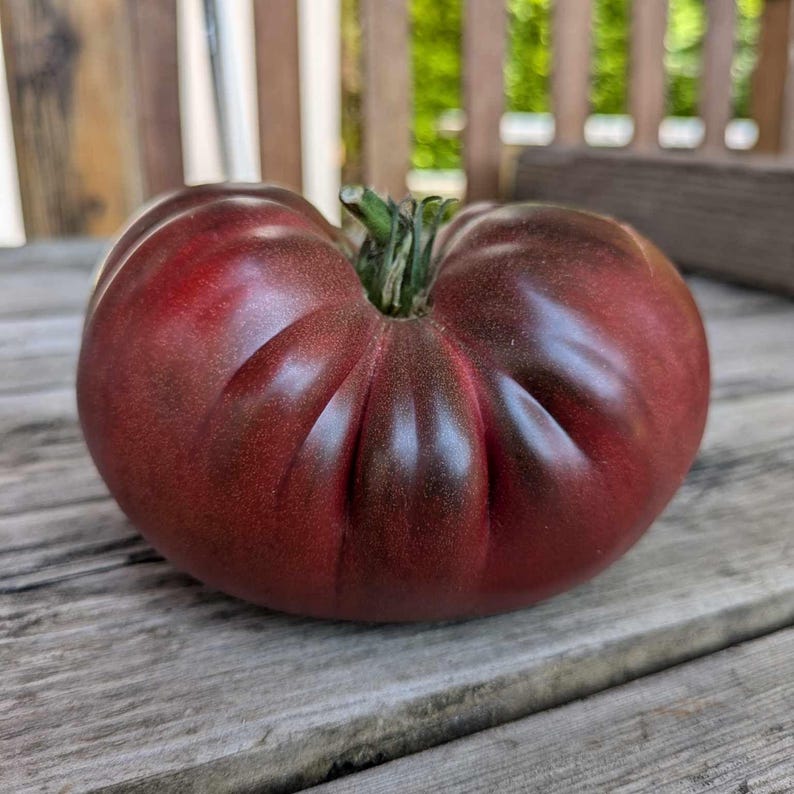 Violet Noir Tomato Seeds - Etsy