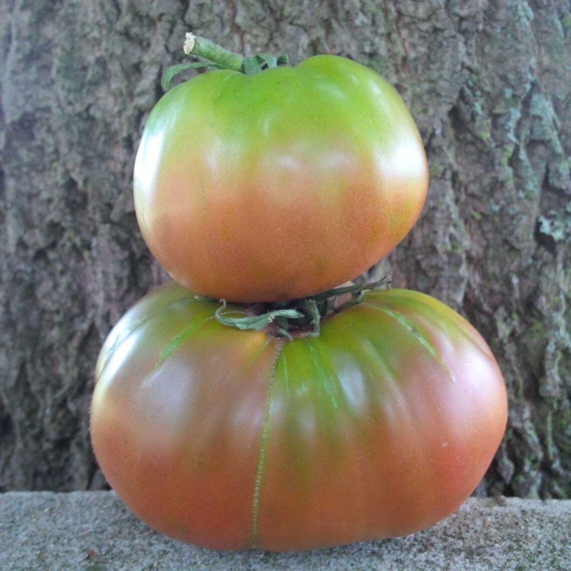 Captain Lucky Tomato Seeds - Etsy