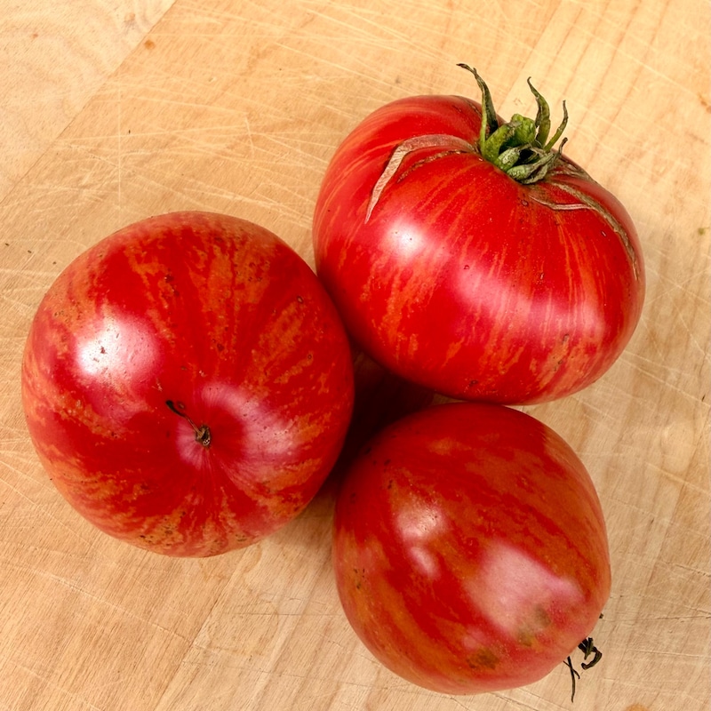 Bill Yoder Tomato Seeds - Etsy