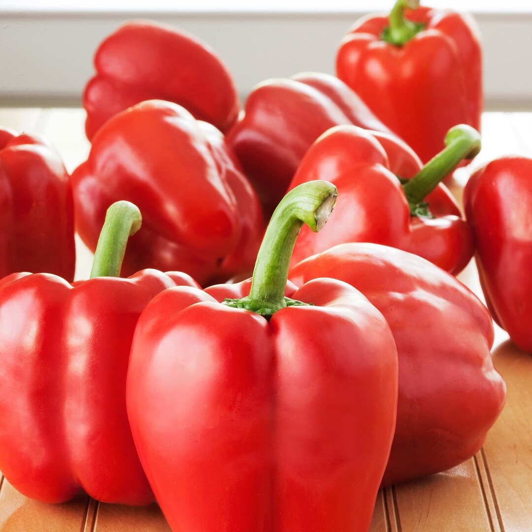 Heirloom Red Bell Pepper Seeds 10+ Florida Grown - Etsy