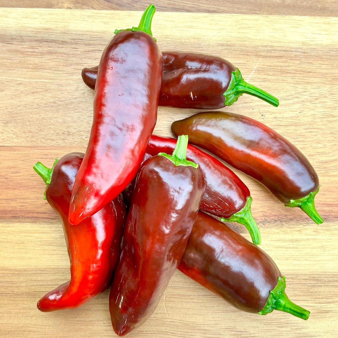 Mocha Swirl Sweet Pepper Seeds - Etsy