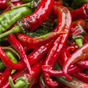 Cow Horn Pepper Seeds - Etsy