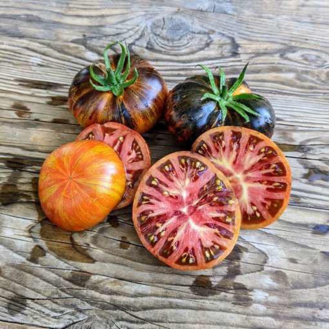 Rebel Starfighter Dippers Delight Tomato Seeds Florida Heat Friendly - Etsy