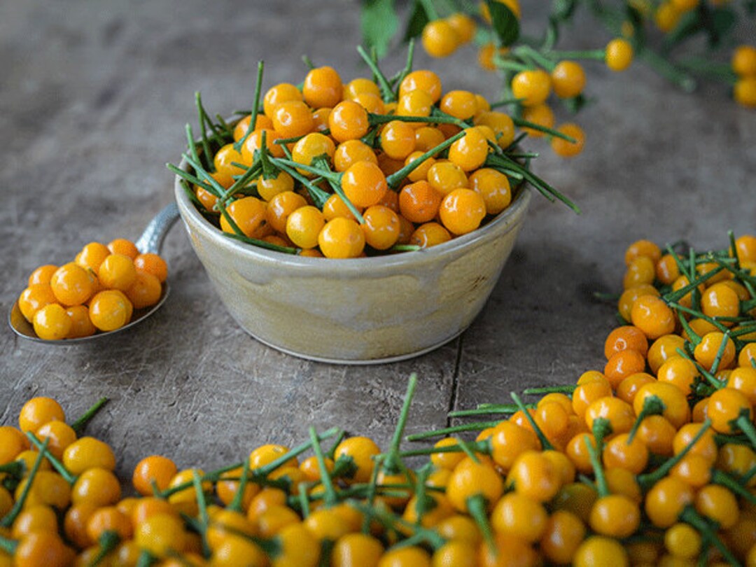 Aji Charapita Rare Pepper Seeds - Etsy