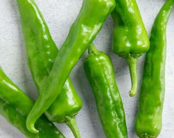 Hatch NM-64 Green Mild Chile Pepper Seeds 10+ - Etsy