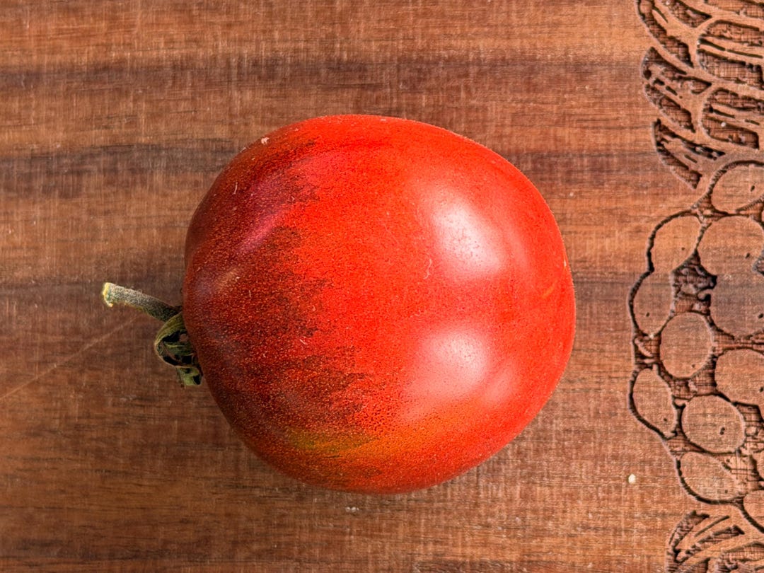 Blue Cascade Cherry Tomato Seeds - Etsy