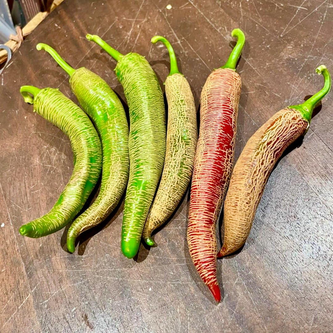 Rezha Macedonian Pepper Seeds - Etsy