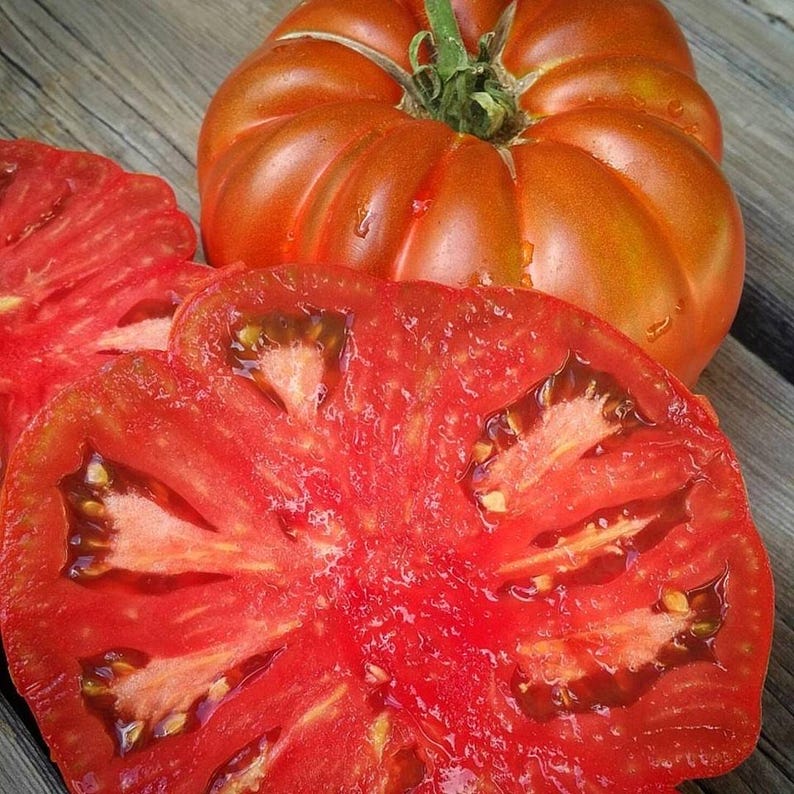 Moya Noire Tomato Seeds - Etsy