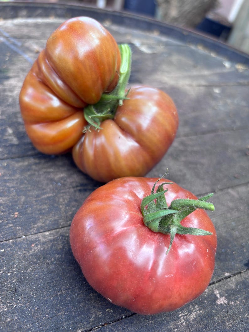 Notorious Tomato Seeds From Bill Yoder Duran Duran Line Florida Heat ...