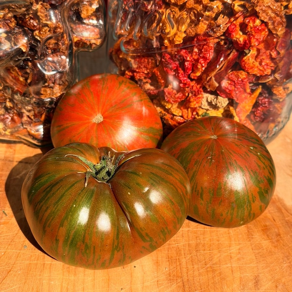 Bill Yoder Tomato Seeds - Etsy