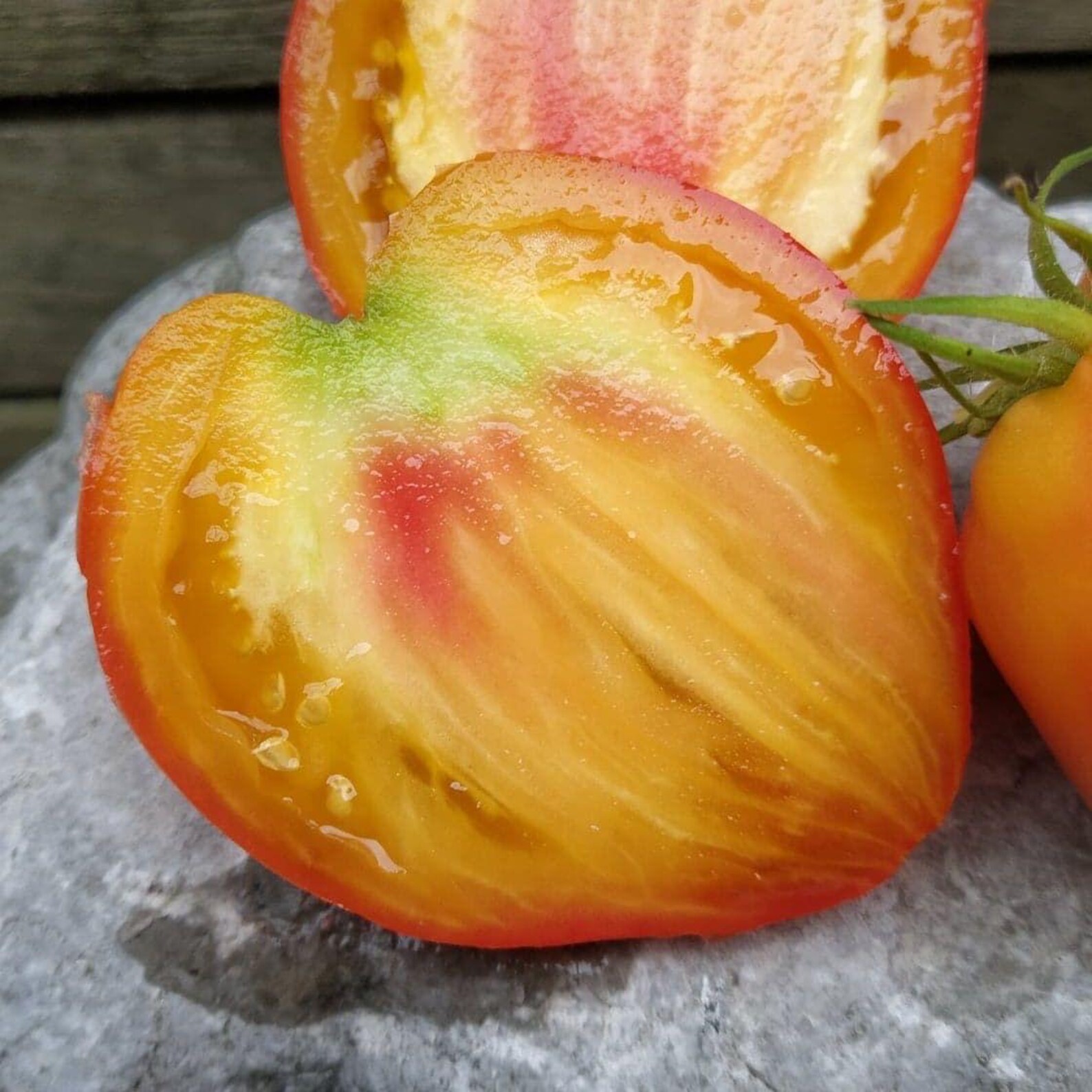 Sun-kissed Peach Dwarf Tomato Seeds - Etsy