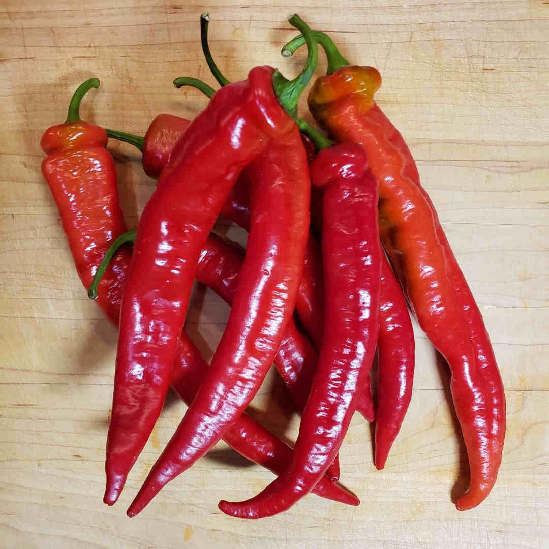 Jimmy Nardello Italian Pepper Seeds - Etsy