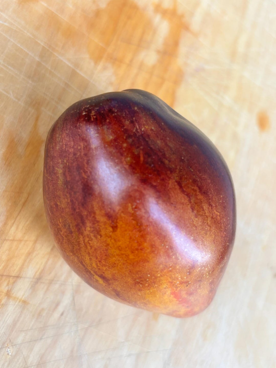 Sophia’s Ginger Comet Tomato Seeds - Etsy