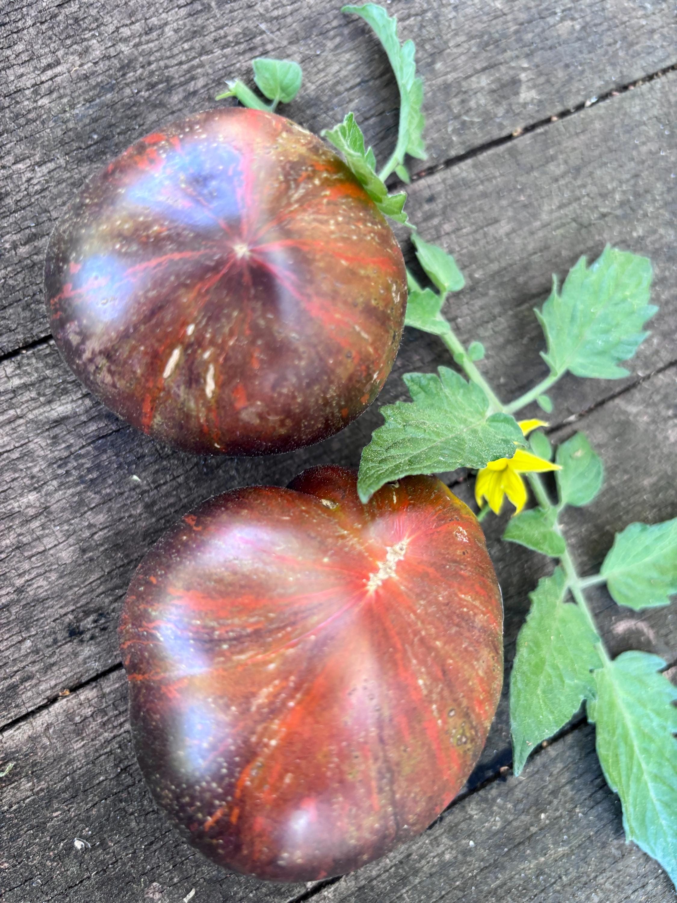 Ordinary World Tomato Seeds From Bill Yoder Duran Duran Line Florida ...