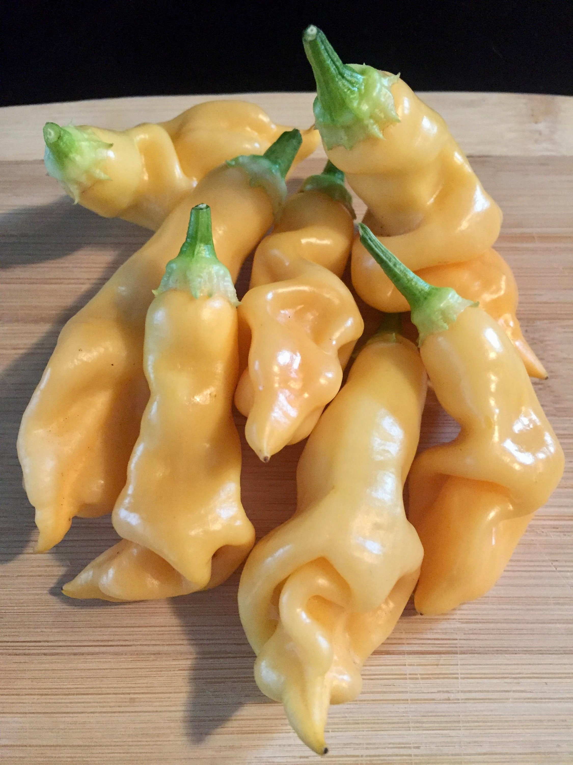 Sugar Rush Peach Pepper Seeds - Etsy