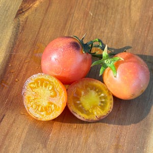 Rio Cherry Tomato Seeds From Bill Yoder Duran Duran Line Florida Heat ...